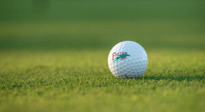 The Falls Golf Club – O'Fallon, MO – Golf Course & Country Club